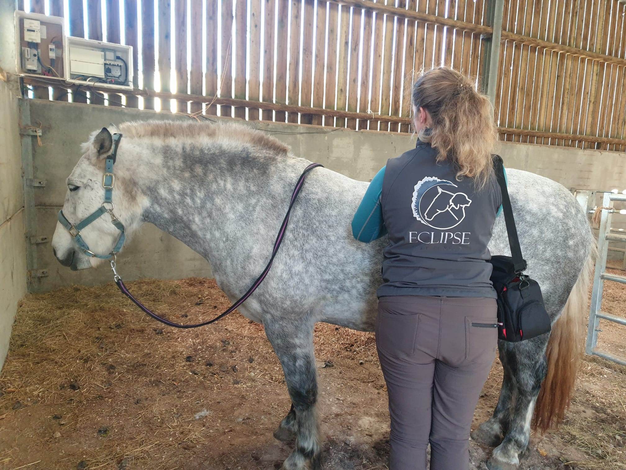 About Me – Eclipse Vet Physio
